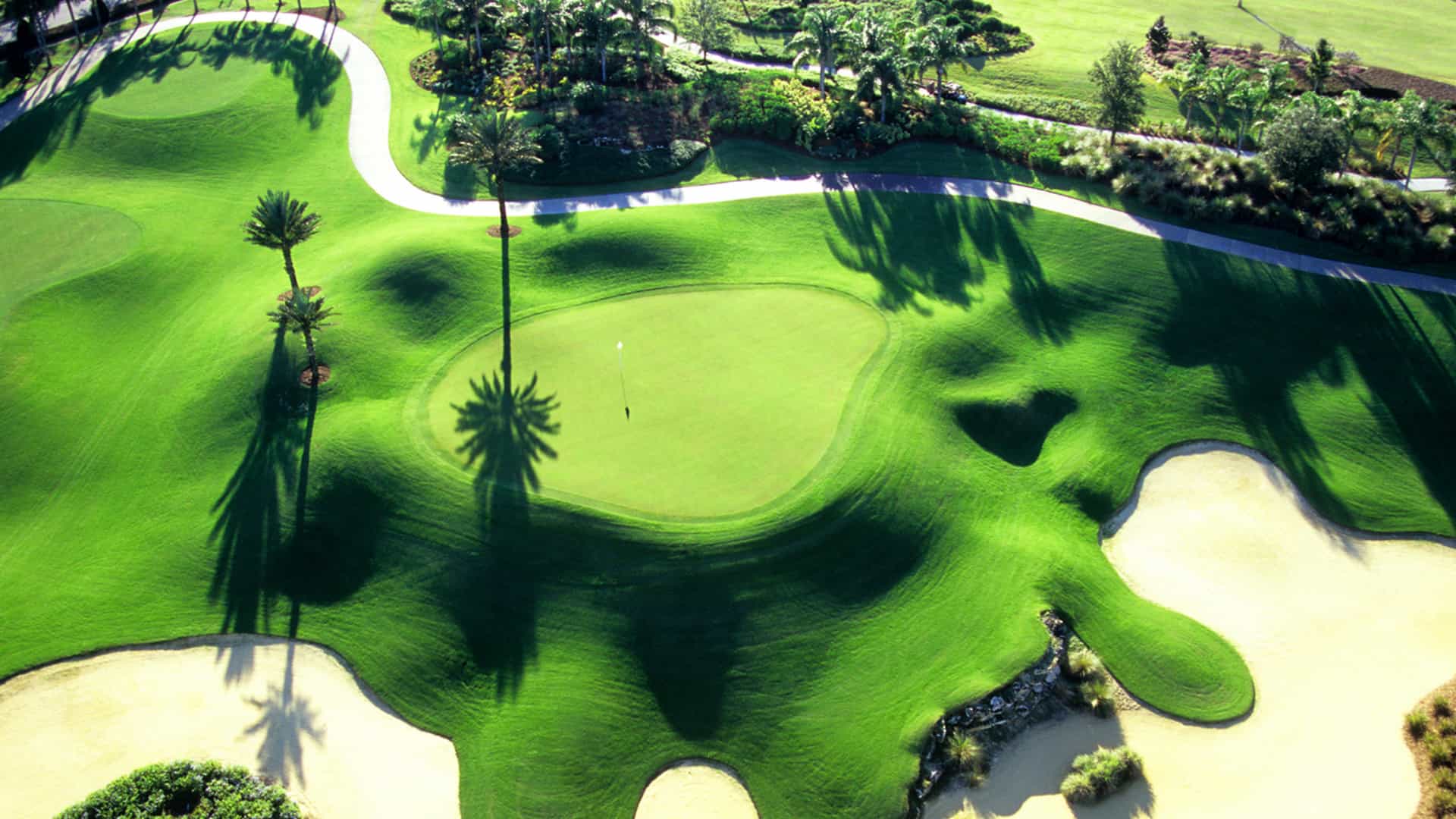 David Leadbetter - Leadbetter Instructors - Golfzon Leadbetter