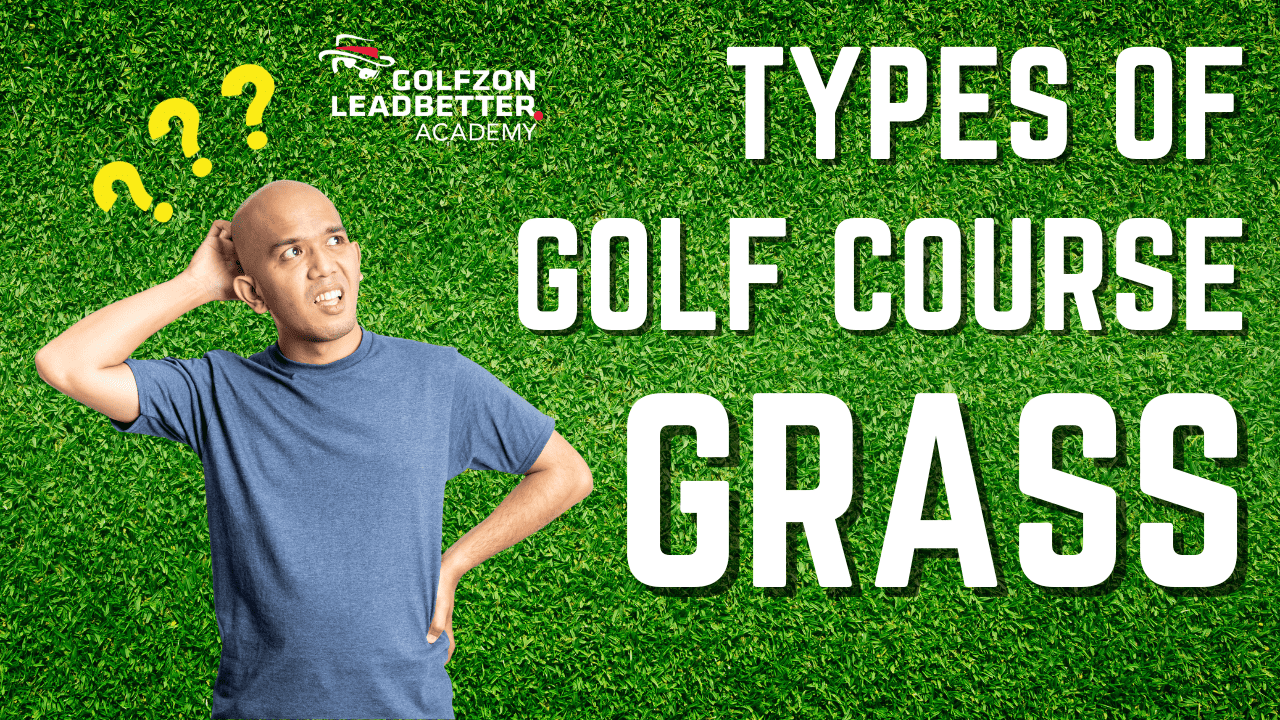 Types Of Golf Grass And How They Affect Your Game