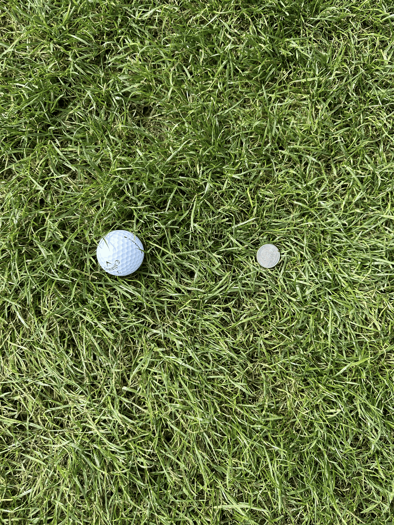 Golf Practice At Home: 6 Golf Drills For Home Practice